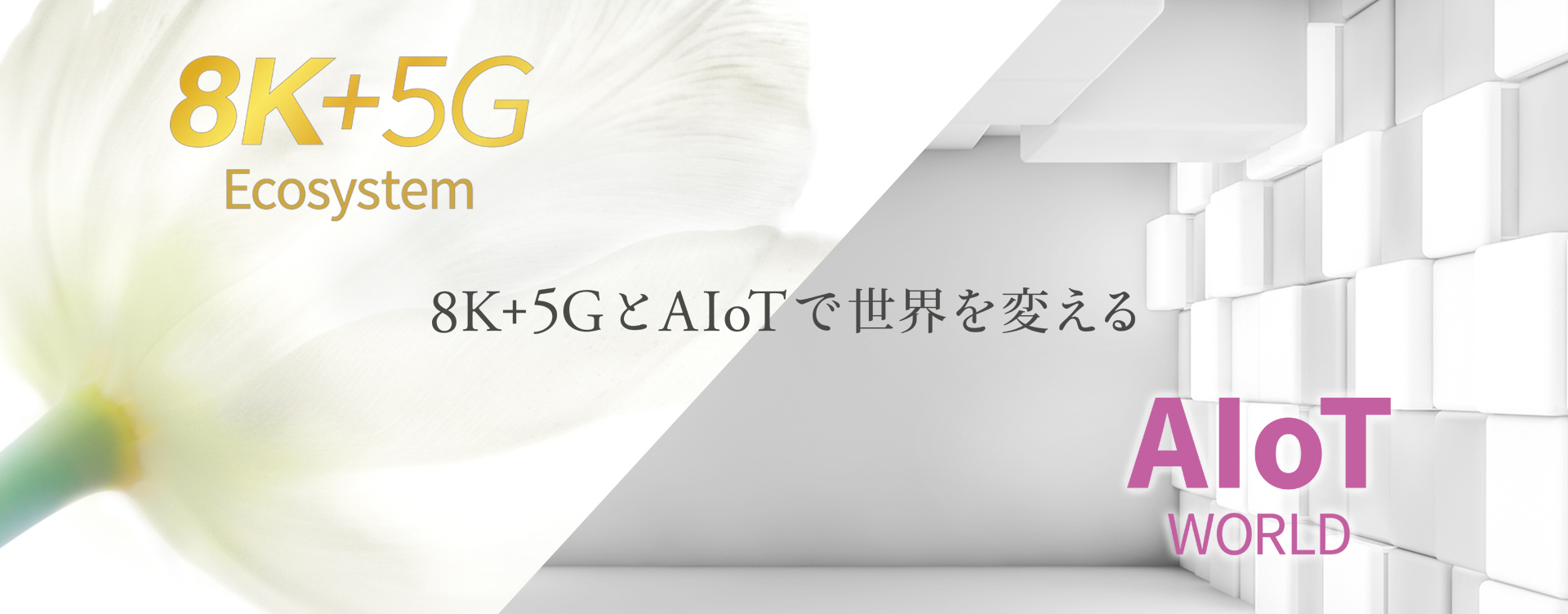 会社情報：シャープ株式会社