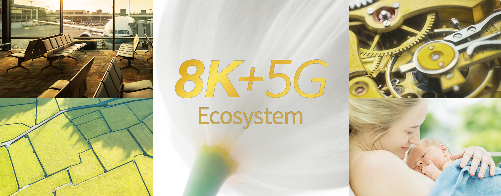 会社情報：シャープ株式会社